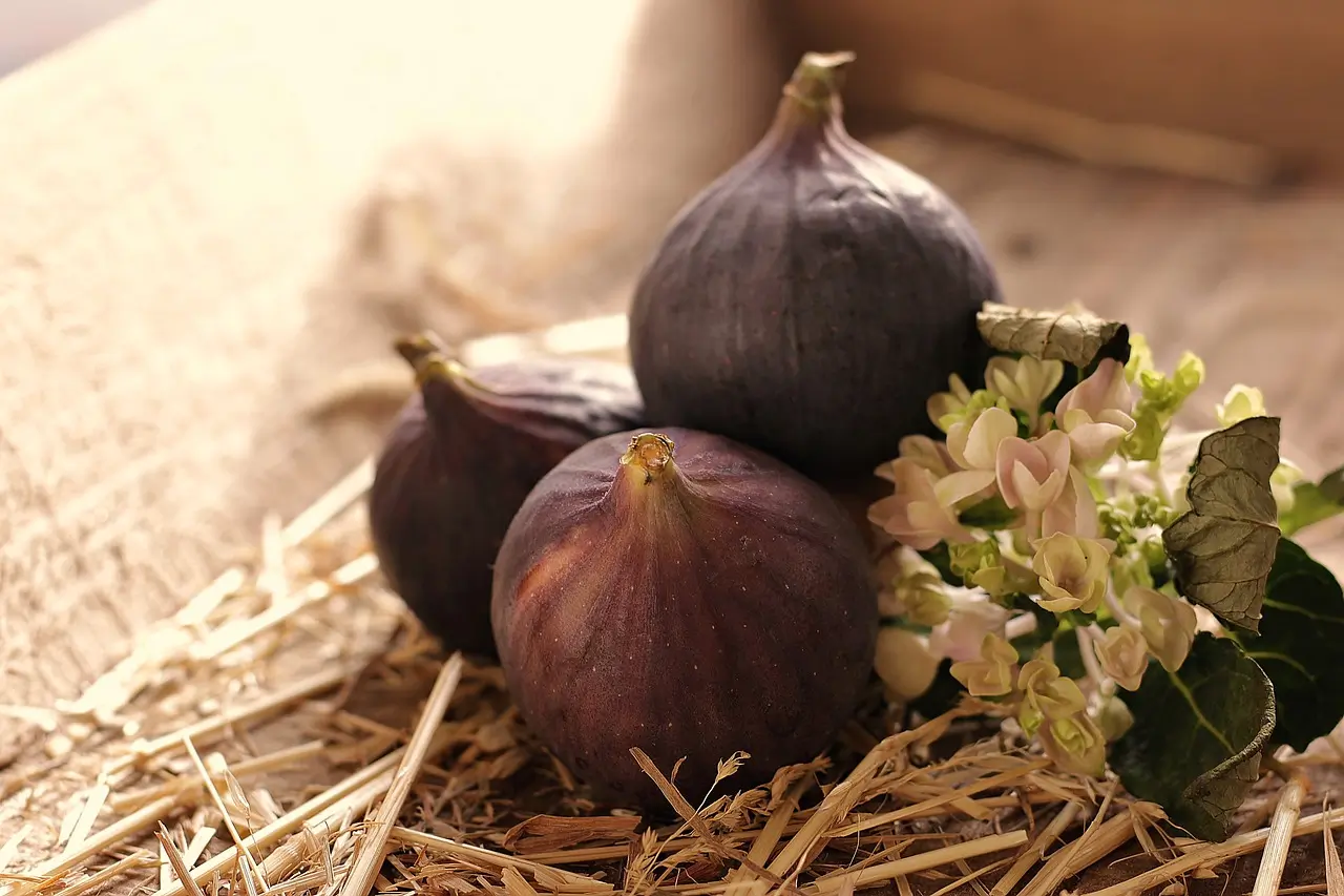 Iranian Figs